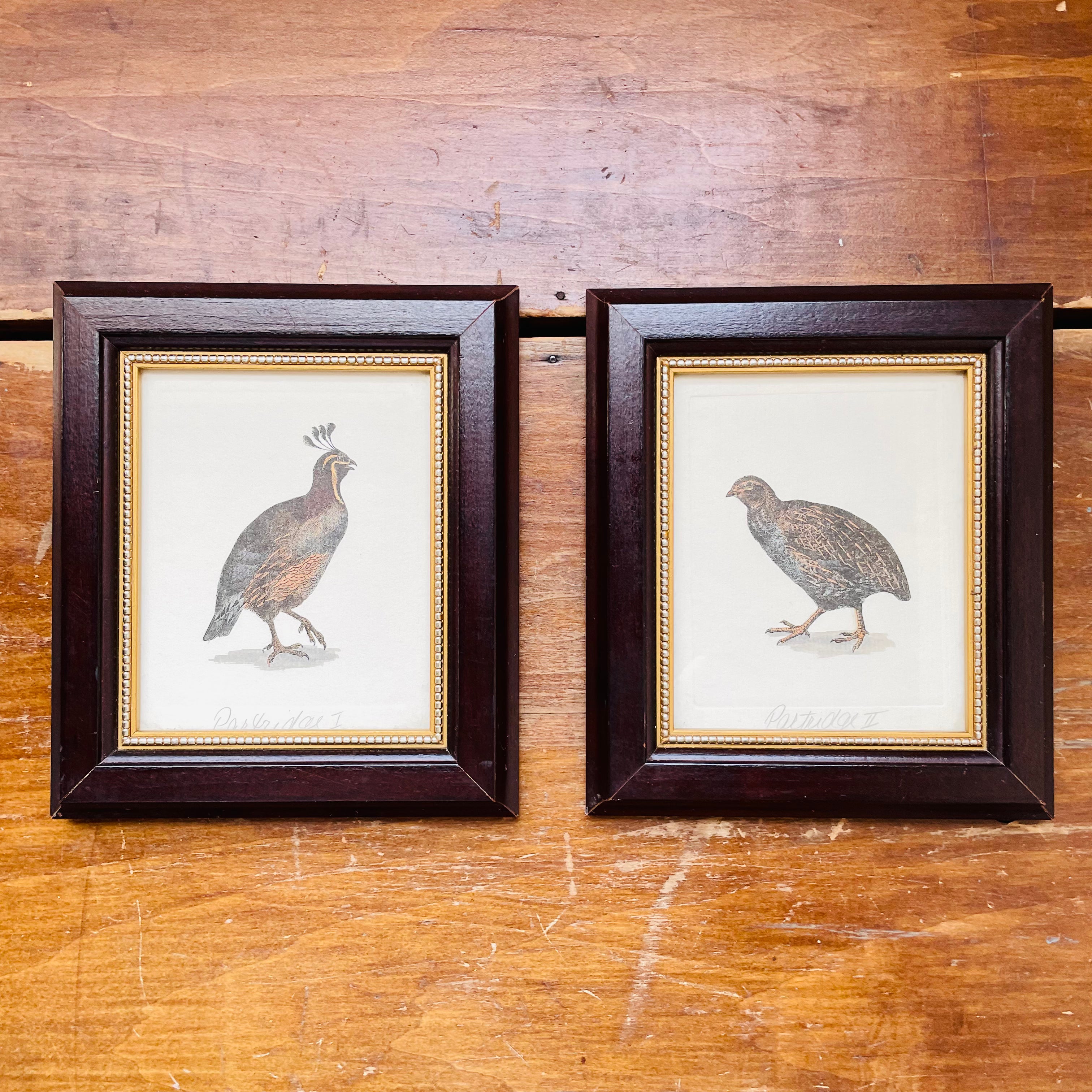 Pen & Watercolor Partridge Pair Originals- Vintage – Sugartown Mercantile